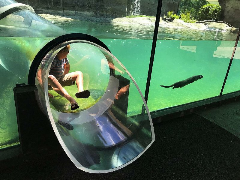 Take kids for big fun in Miami