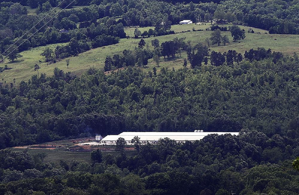 Firm submits closure plans for Arkansas hog farm | Northwest Arkansas ...
