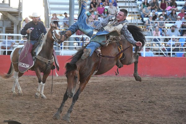 Phipps earns bareback win at Rodeo of the Ozarks | The Arkansas ...