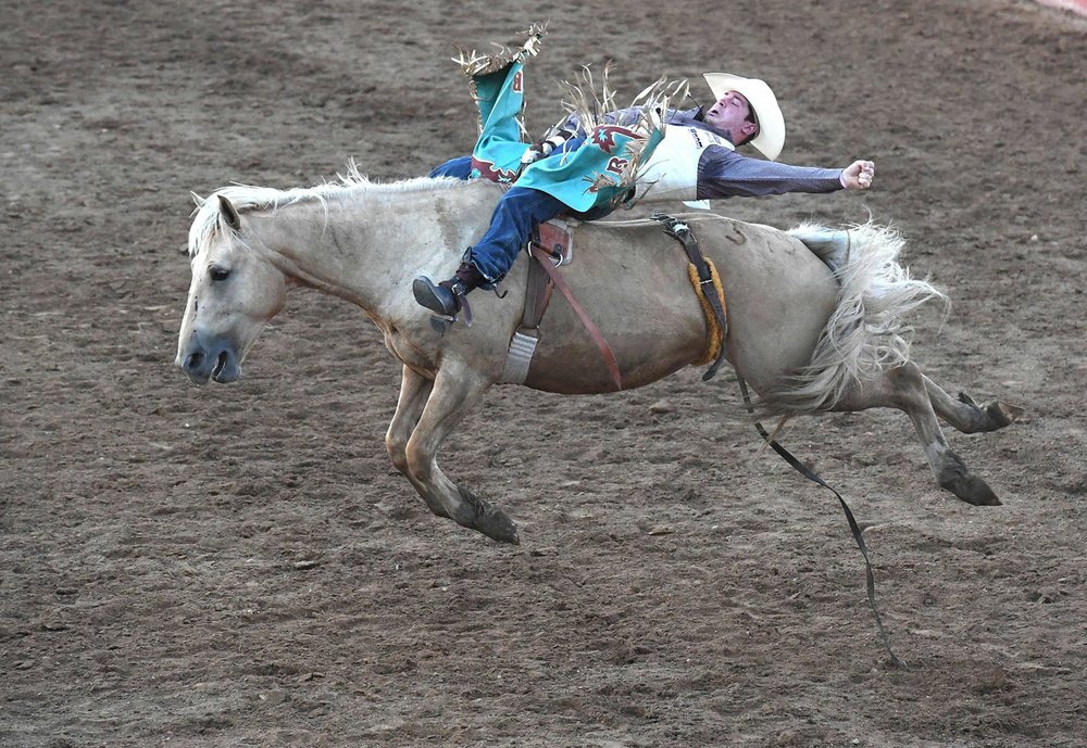 Phipps earns bareback win at Rodeo of the Ozarks