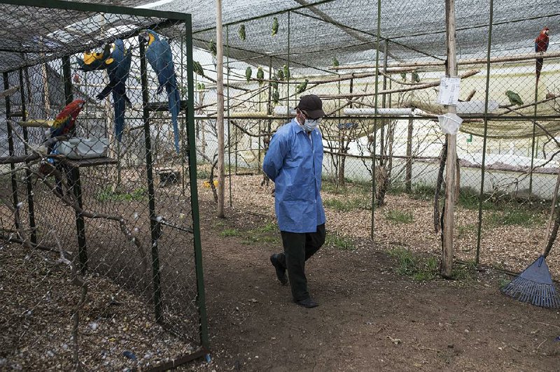 Colombian authorities track traffickers of exotic animals | The ...