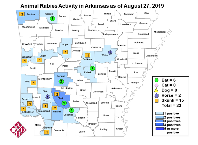 Animal-carried rabies prevalent in southwest Arkansas | Magnolia Banner ...