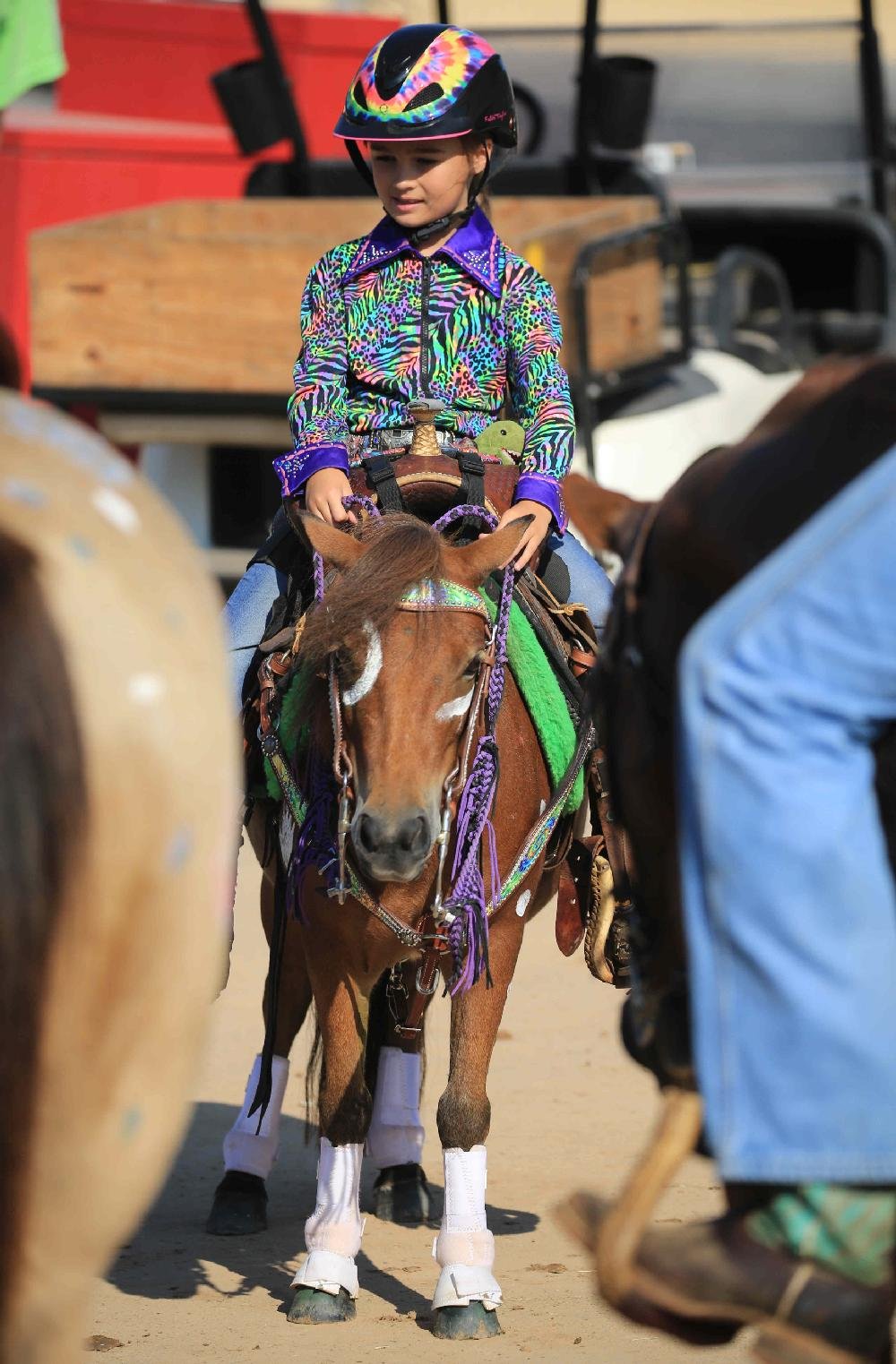 Arkansas State Championship Horse Show Final Day | The Arkansas ...