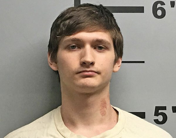 Bella Vista man pleads guilty in federal court