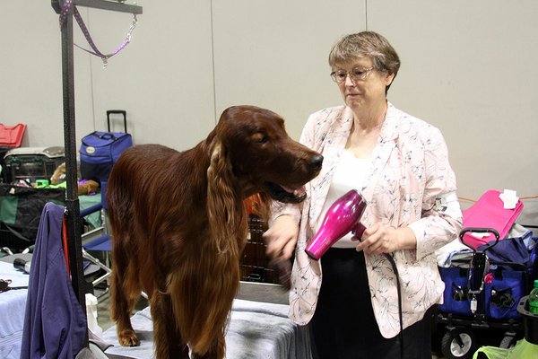 (video) Annual All Breed Dog Show draws competitors from across country ...