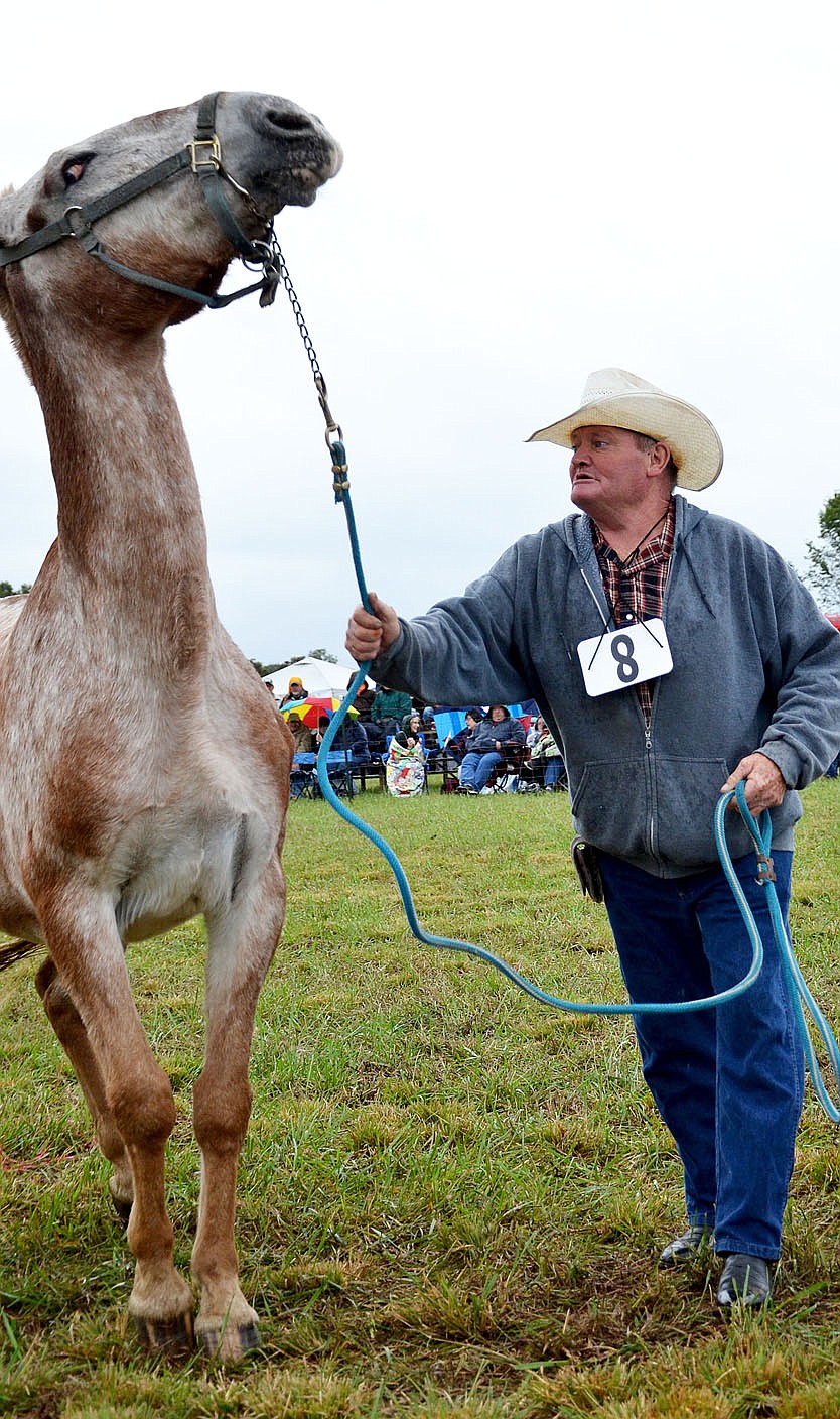 "How high is it?" the crowd roars at the Mule Jump | Pea Ridge Times