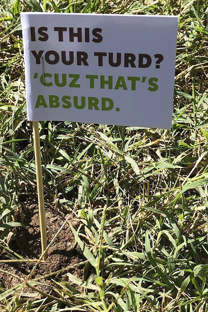 'Is this your turd?': Springfield's cleanup flags dog poop | Northwest ...