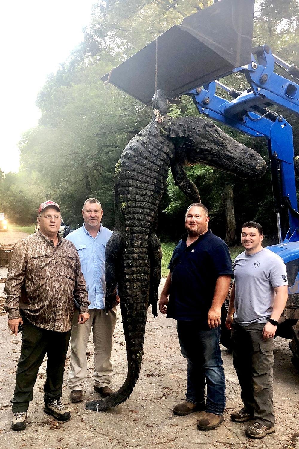 PHOTO: Arkansas policeman subdues alligator that weighed 700+ pounds