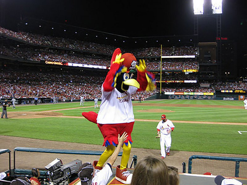 Cardinals' Fredbird at St. Pat's Parade