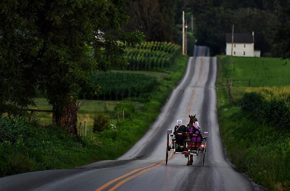 Horses only part of Amish divisiveness | The Arkansas Democrat-Gazette ...