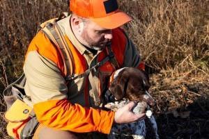 Project working to restore Missouri quail | The Arkansas Democrat ...