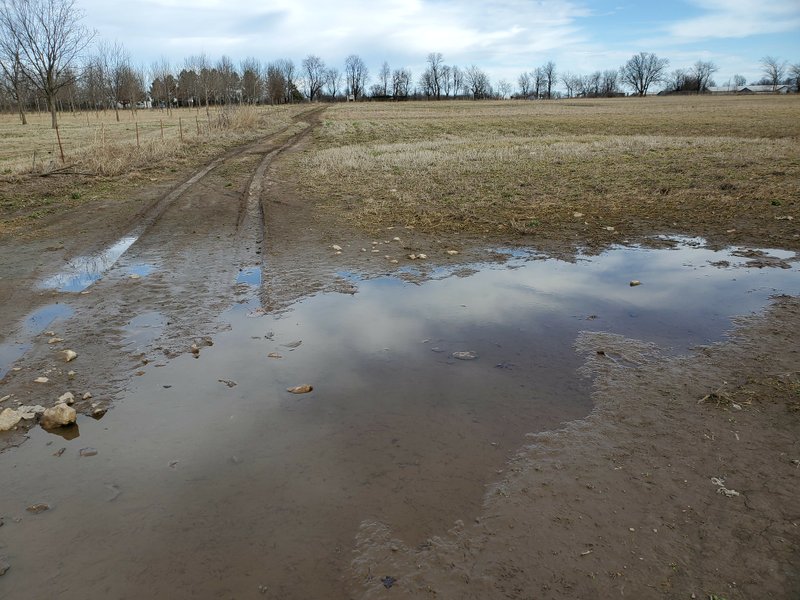 Wet, muddy pastures? Overseed damaged areas, says expert | Magnolia ...
