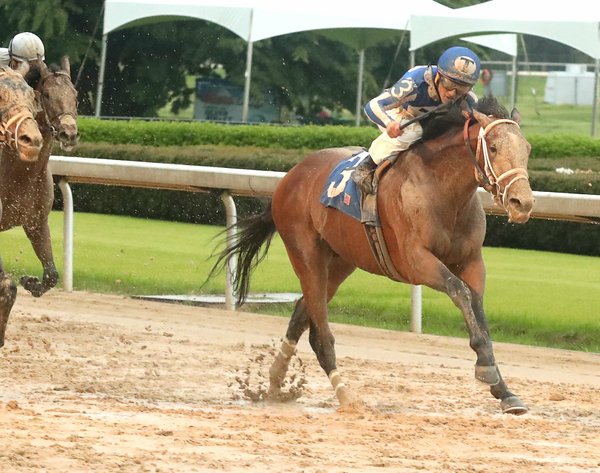 Calhoun colt makes 'big news' in $200K race | Hot Springs Sentinel Record