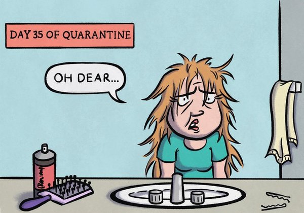 CARTOON: Quarantine progression | The Arkansas Democrat-Gazette ...