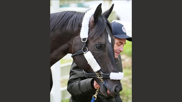 Eight Rings gives race Grade I look | The Arkansas Democrat-Gazette ...