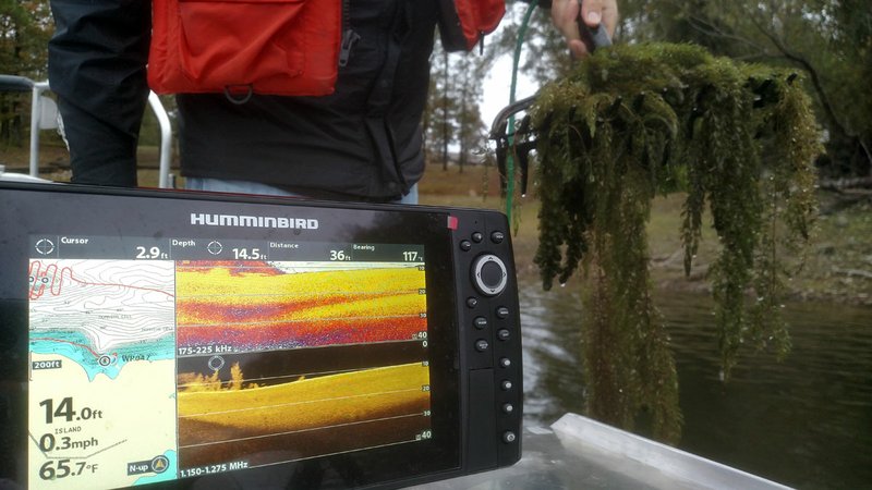 WATCH: UAPB helps AGFC restore aquatic vegetation at DeGray | Hot ...