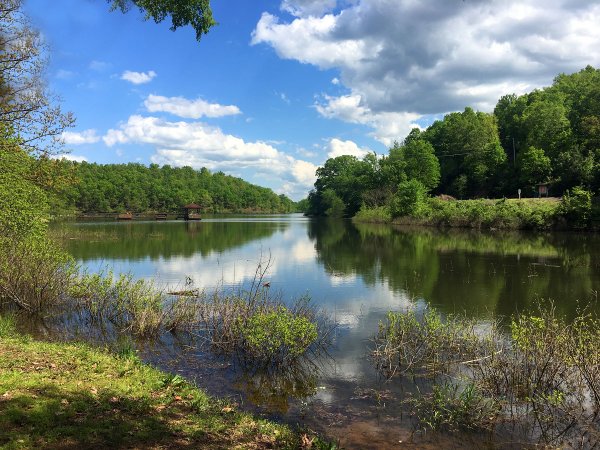 WATCH: Woolly Hollow State Park still welcomes visitors during pandemic