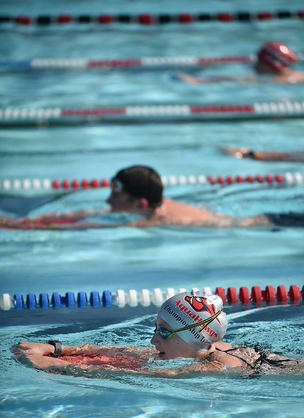 Fayetteville council hears aquatics center concepts | The Arkansas ...