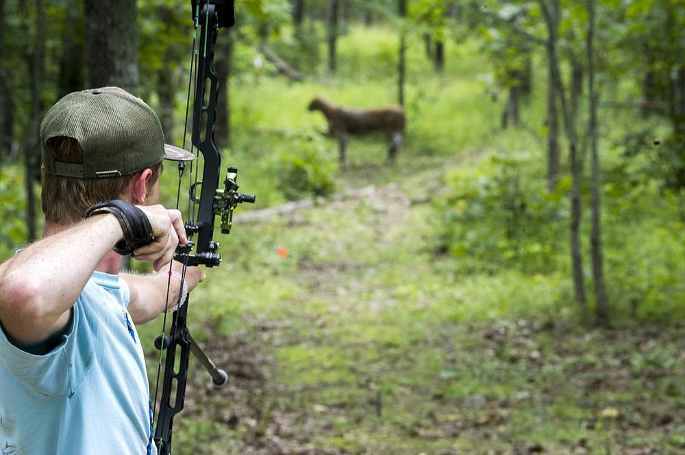 Archery Competition | The Arkansas Democrat-Gazette - Arkansas' Best ...