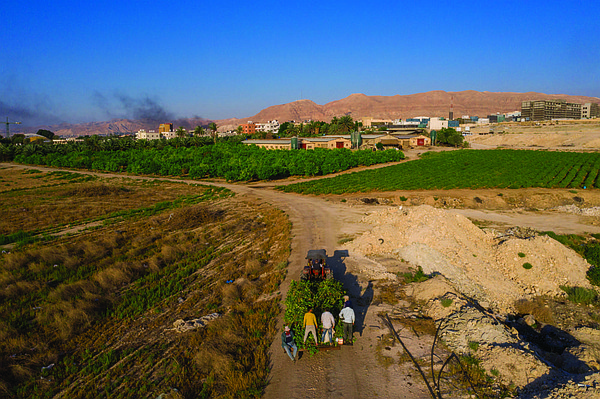 Israel's annexation plan still a work in progress | The Arkansas ...