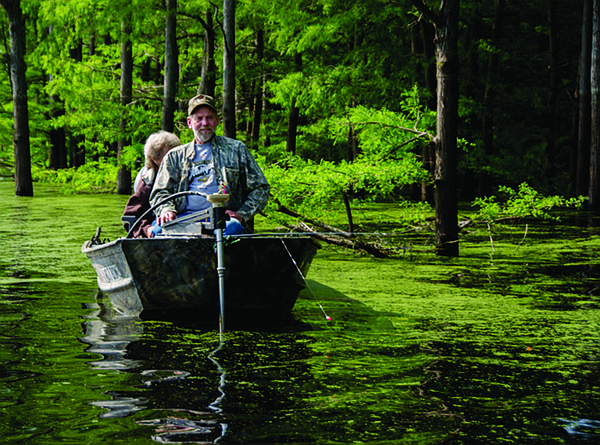 Felsenthal sees active summer despite Bream Festival cancellation | El ...