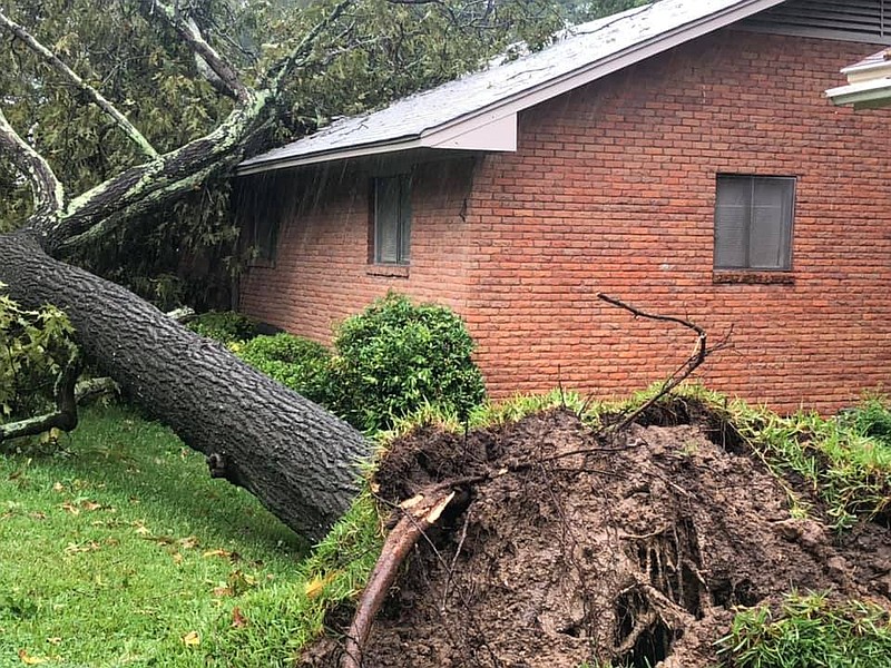 Local residents describe storm damage | El Dorado News