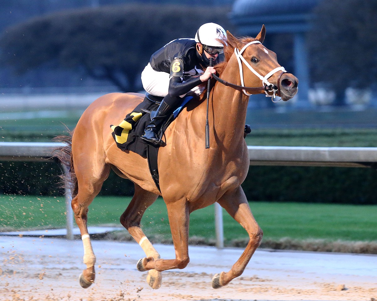 Monomoy Girl takes bows in Oaklawn comebacker | Hot Springs Sentinel Record