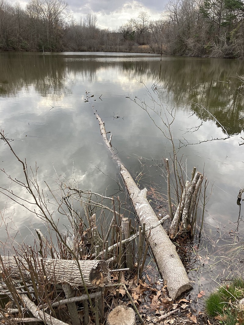 Fishing paradise: Pond creations are treasured resources | Northwest ...