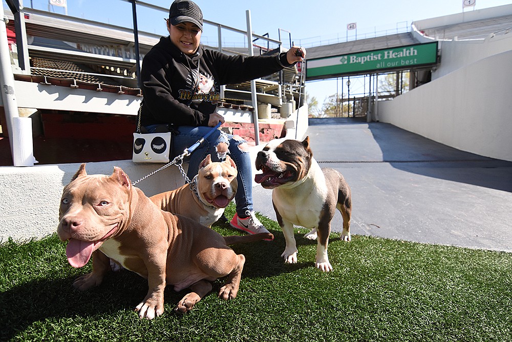 ABKC Bully Bowl