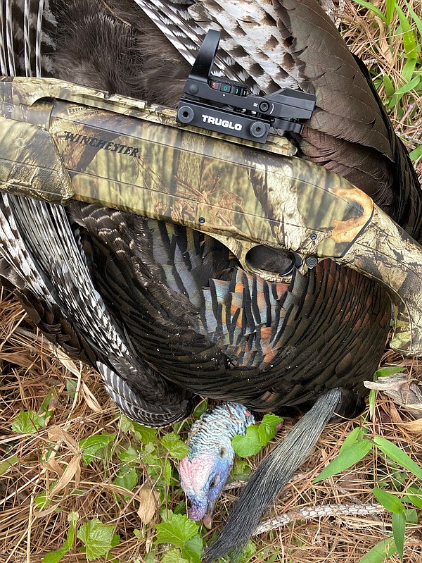 Turkey roundup: Opening week of season full of hunting highlights | The ...