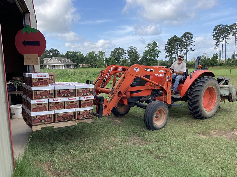 Farmers' tomato tactics shift | Northwest Arkansas Democrat-Gazette