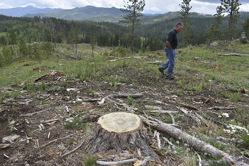 Climate change, logging collide | The Arkansas Democrat-Gazette ...