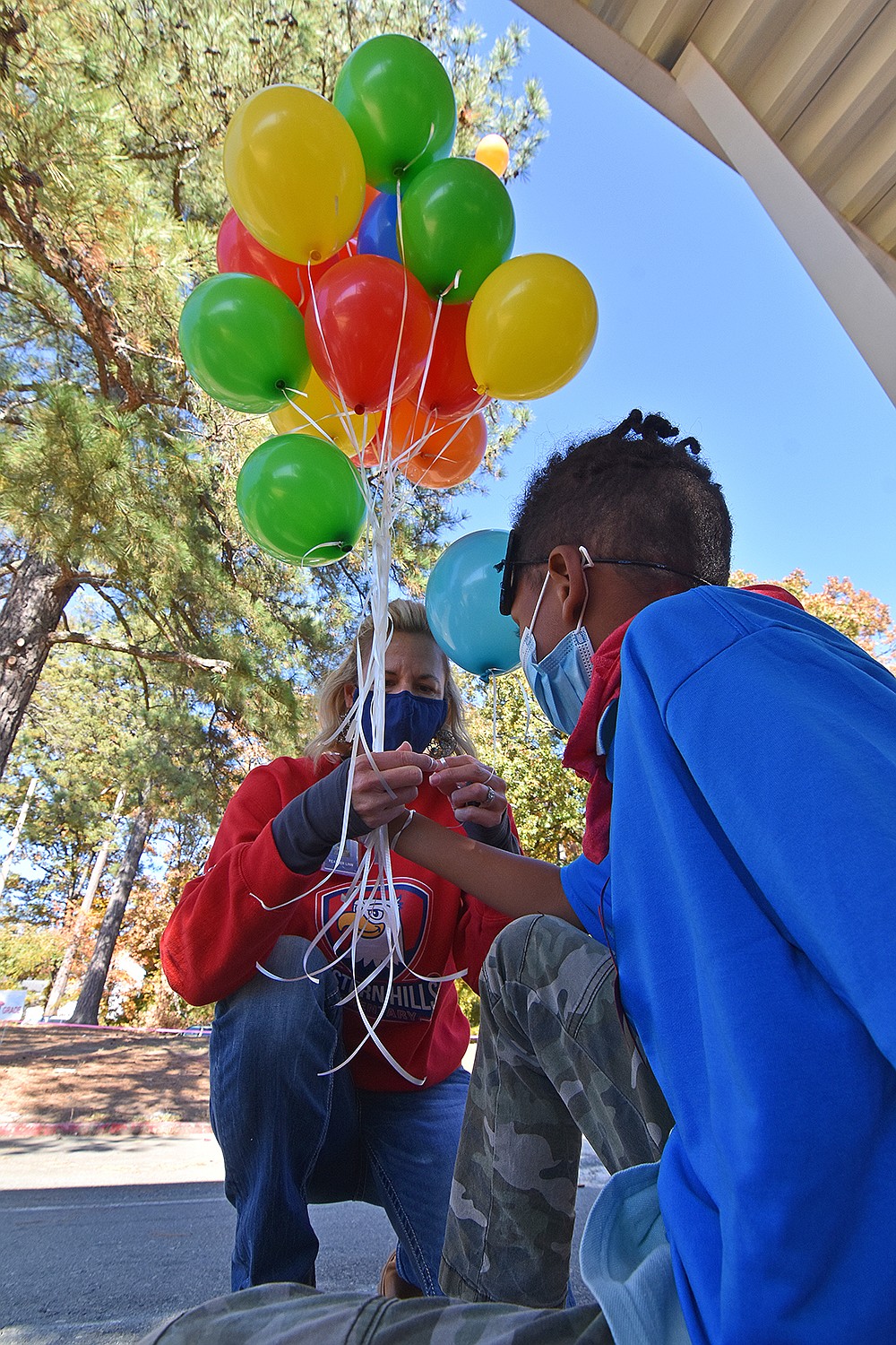 Book Parade | The Arkansas Democrat-Gazette - Arkansas' Best News Source