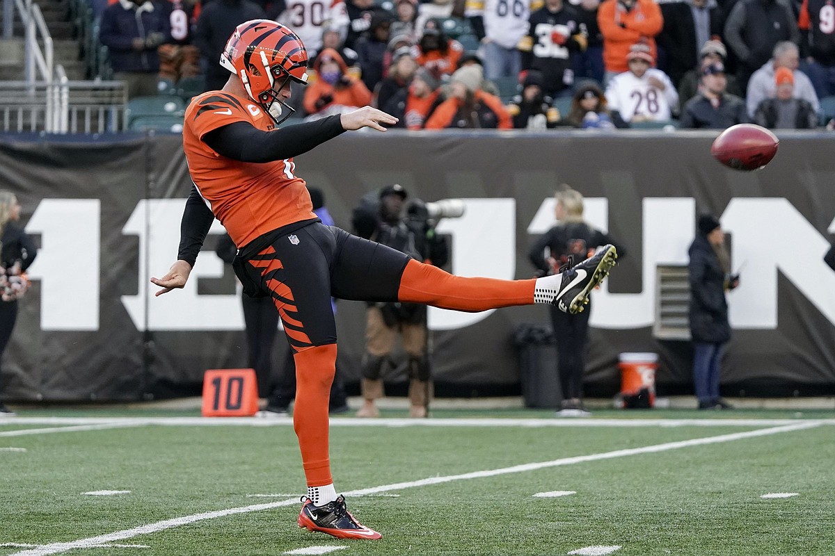 Bengals' punter living a fan's dream | Northwest Arkansas Democrat-Gazette