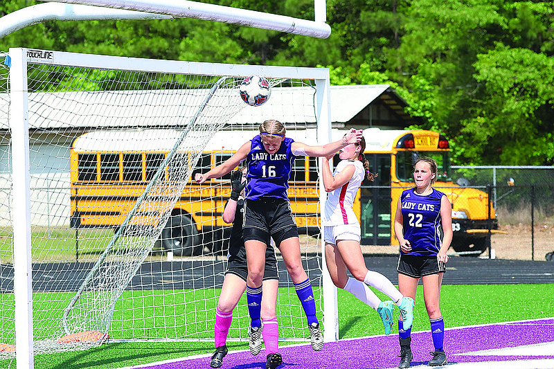 Lady Wildcats fall to speedy Searcy | El Dorado News
