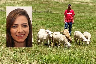 UAM professor brings global perspective | Pine Bluff Commercial News