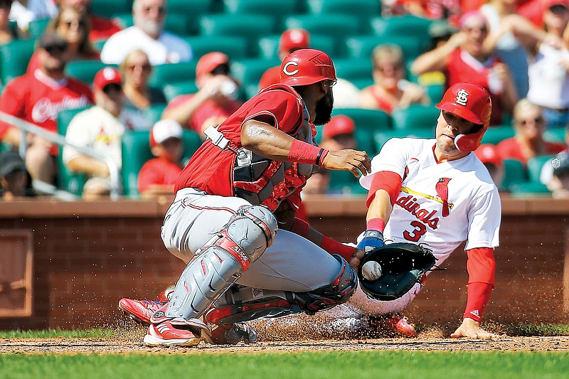 Molina homers as Cards sweep twinbill from Reds | Fulton Sun