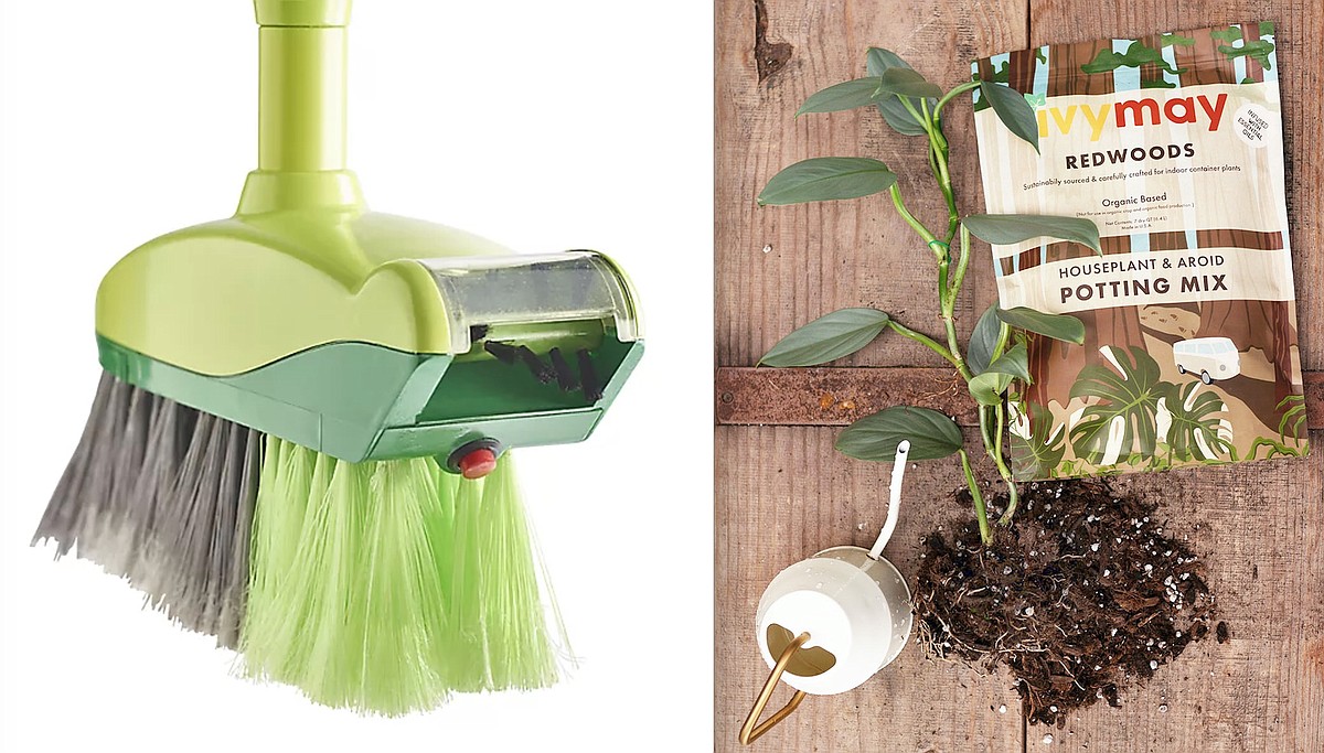 Tools & Toys: Kleensmart Easy Sweep and Redwoods Houseplant & Aroid ...