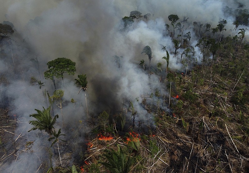 Worst Brazil forest fires in a decade, yet election silence ...