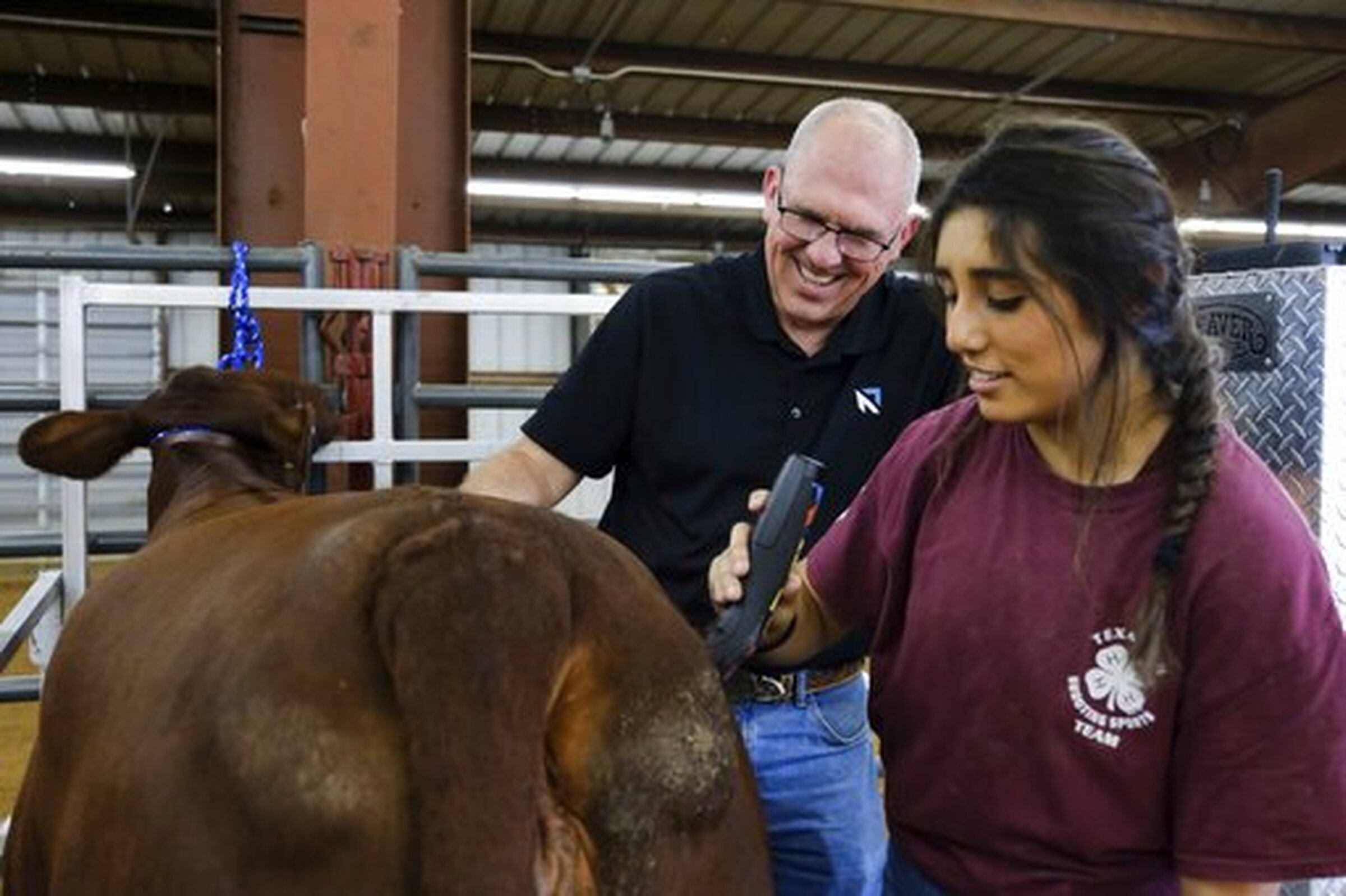 Taking the reins | The Arkansas Democrat-Gazette - Arkansas' Best News ...