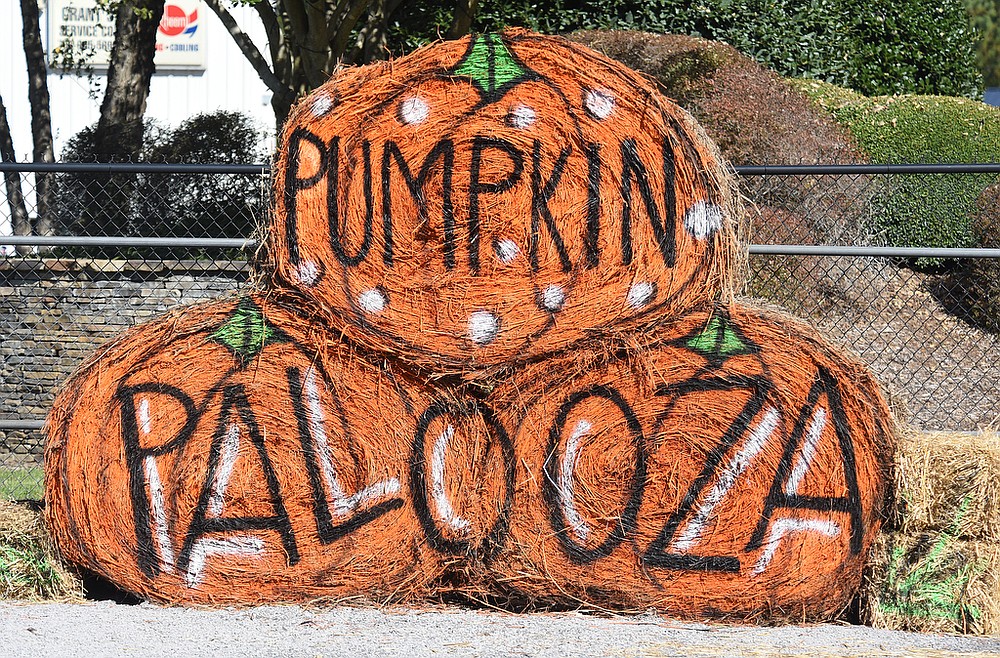 Pumpkin Palooza held in Chatsworth | Chattanooga Times Free Press