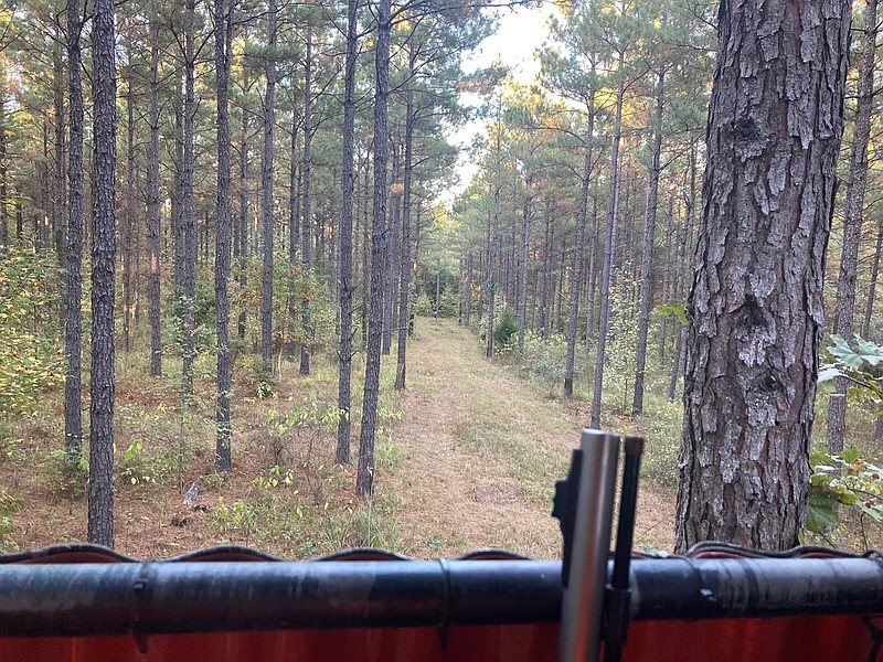 Weather change revamps deer season | Northwest Arkansas Democrat-Gazette