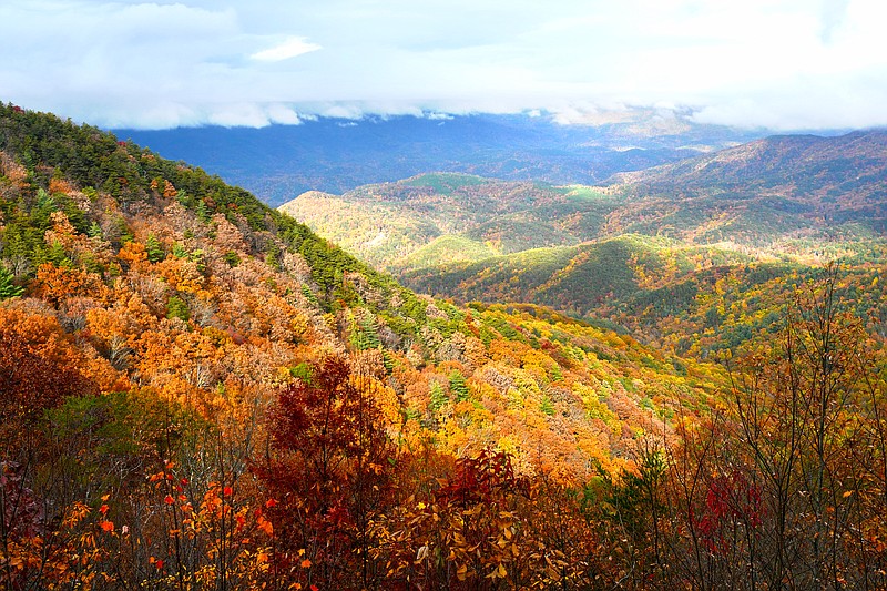 Photo of the Day | Chattanooga Times Free Press