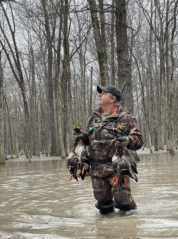 Flood and flocks: Hunting ducks on public land can be an easy endeavor ...