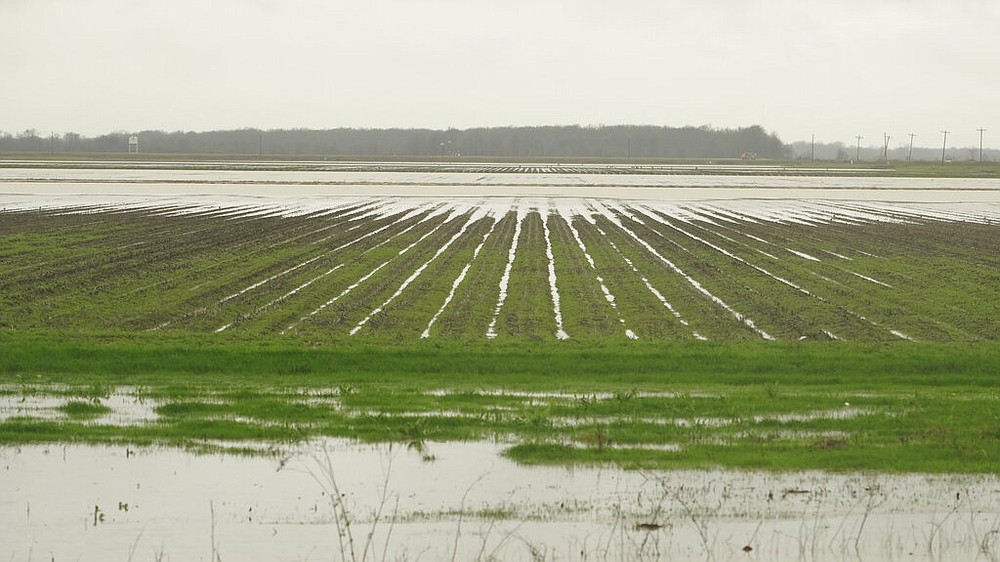Louisiana tornadoes kill 3 people | Northwest Arkansas Democrat-Gazette Louisiana tornadoes kill 3 people | Northwest Arkansas Democrat-Gazette