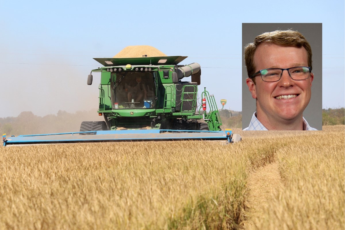Report says Arkansas’ net farm income will rise as state shifts from ...