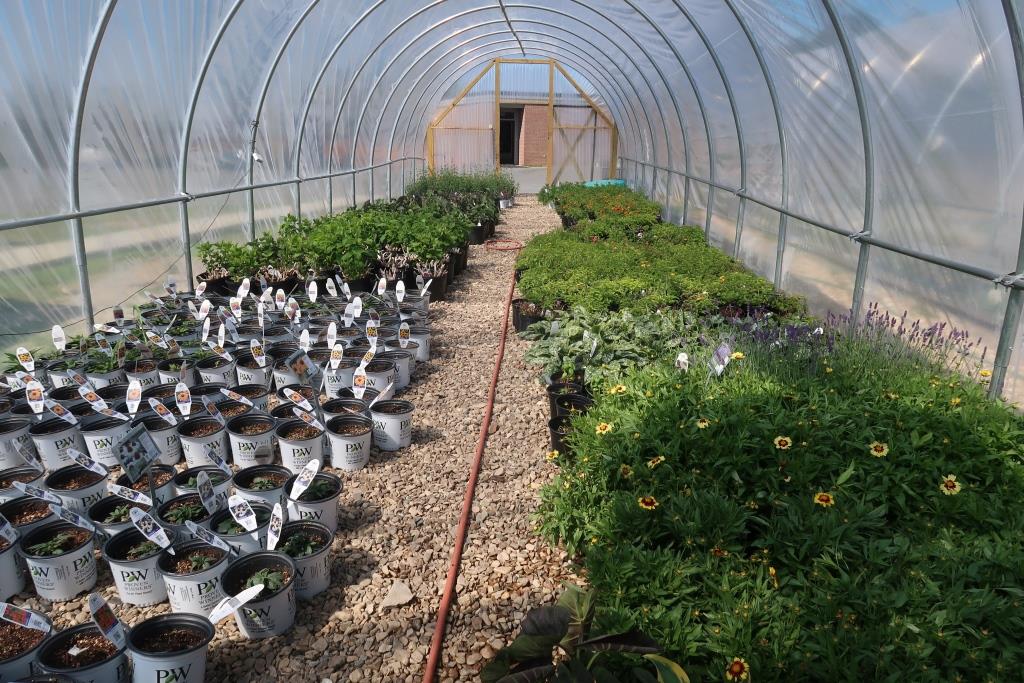 Access Plant Sale 2023 | The Arkansas Democrat-Gazette - Arkansas' Best ...