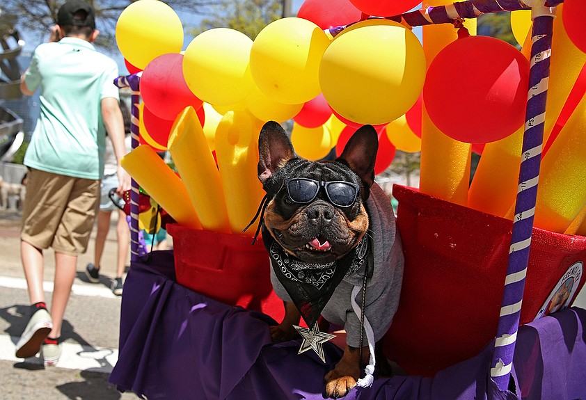 Barkus on Main coming back to delight of dogs and humans | Northwest ...