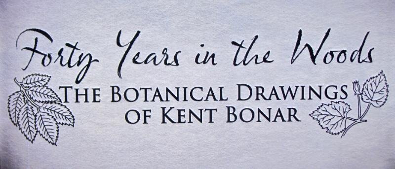 ARKANSAS SIGHTSEEING: ‘Forty Years in the Woods’ exhibit shows Kent ...