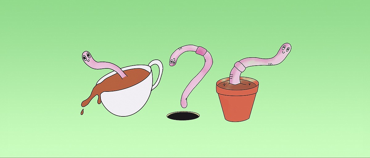 Worms at Work: The Basics of Vermicomposting | Jefferson City News Tribune